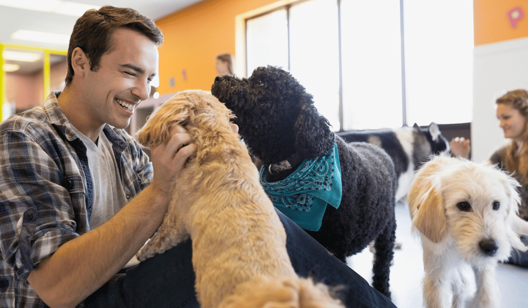 Puppy Daycare Near Me: Enhancing Puppy Training and Socialization - K-9 ...
